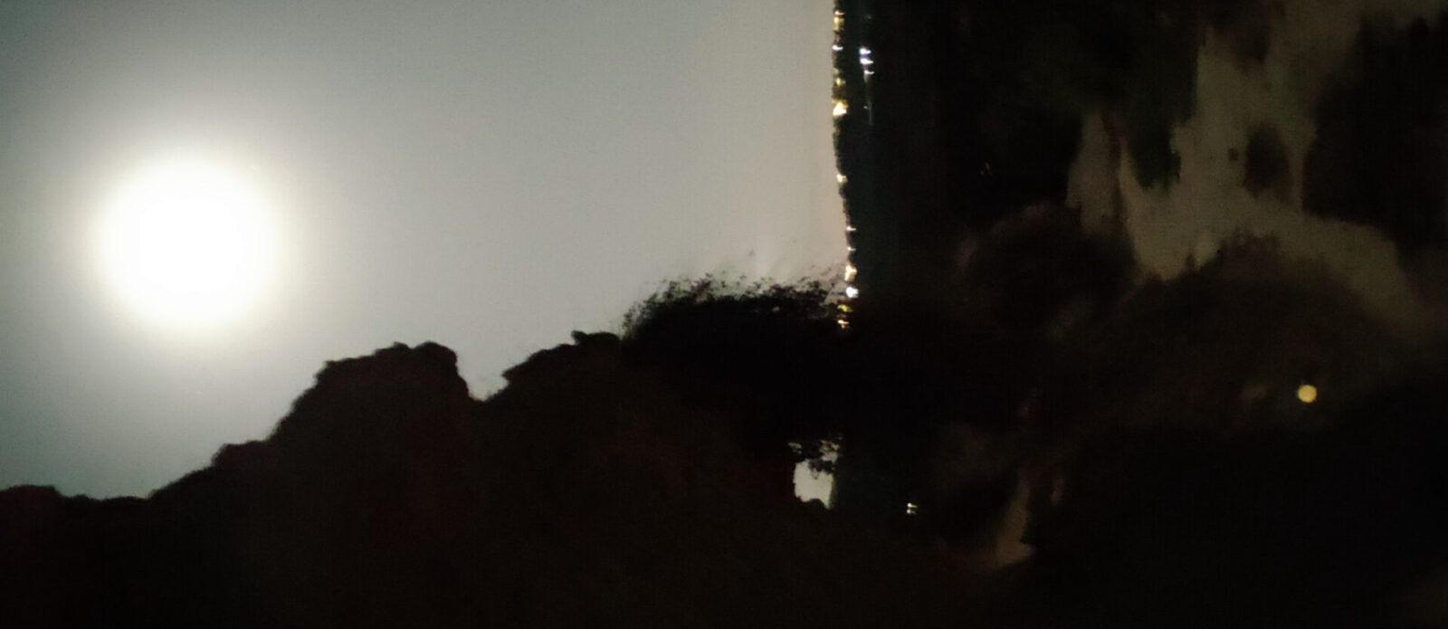 IN PLAY – MATTHEW SCURFIELD